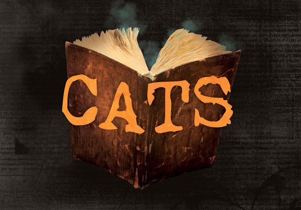 CATS The Musical 🐾 l The Beyond Broadway Experience 🎭 @captheatres # ...